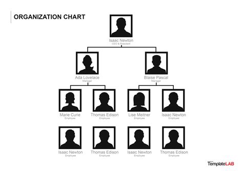 Org Chart Template Pages Printable Word Searches