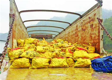 တရားမဝင် သစ်မျိုးစုံနှင့် ကျောက်စိမ်းအရိုင်းတုံးများ ဖမ်းဆီးရမိ