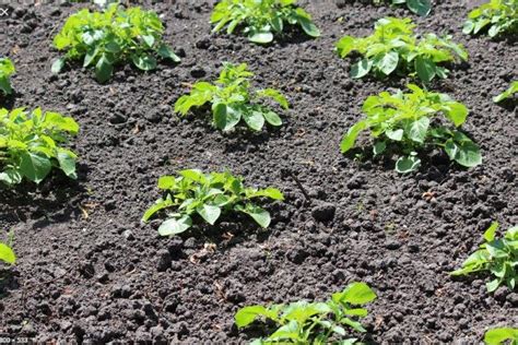 r counting the number of objects in an image using bwlabel stack overflow