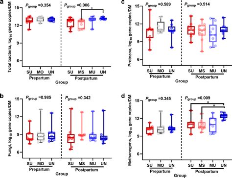 Gene Copy Numbers Of Fecal Microbiota Analysed By Quantitative Pcr In Download Scientific