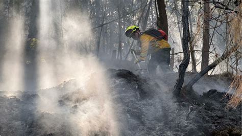 Hectáreas De Bosques Y Pastizales Afectadas Por Incendios