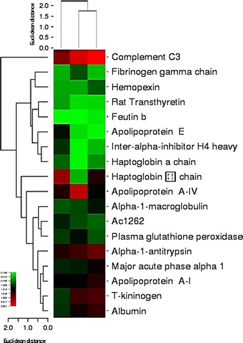 Hierarchical Clustering And Gene Ontology Download Scientific Diagram