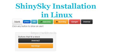 Howto Install Shinysky Collection Of Shiny Ui Packages Arkit