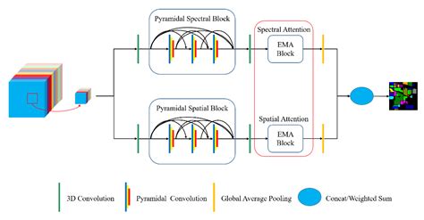 Double Branch Network With Pyramidal Convolution And Iterative