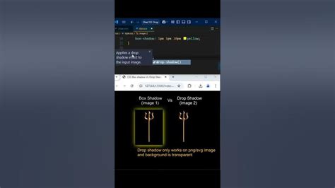 Box Shadow Vs Drop Shadow In Css Shorts Youtube