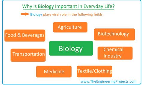 Biology Definition History Concepts Branches Facts Biogeography