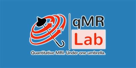 B Dem Map Dual Echo Method For B Mapping QMRLab Documentation