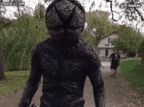 데모고르곤 코스프레 유머 게시판