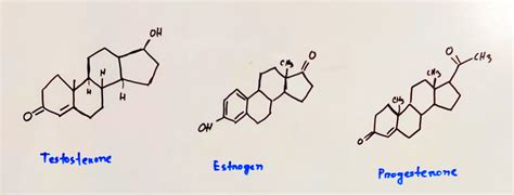 Sex Hormone Synthesis And Regulation Easybiochem