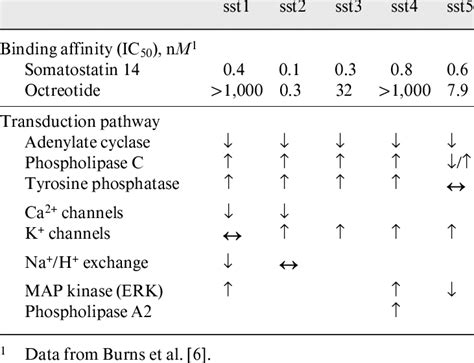 Binding Affinity And Signal Transduction Pathways Coupled To Each