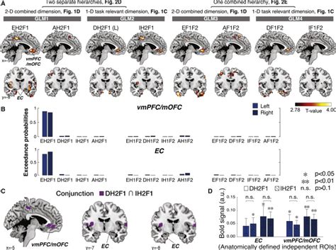 Map Making Constructing Combining And Inferring On Abstract Cognitive Maps Neuron