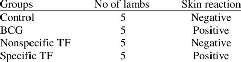 Skin Reaction In Specific Tf Bcg Non Specific Tf And Control Lambs