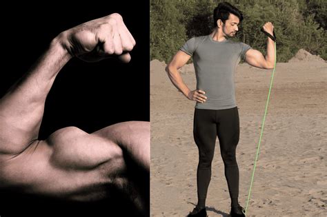 The Ultimate Guide To Bicep Exercises With Resistance Bands