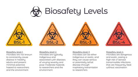 Premium Vector Biosafety Levels Bsl Hazardous Materials Designation Sign