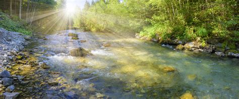 Riparian Buffers
