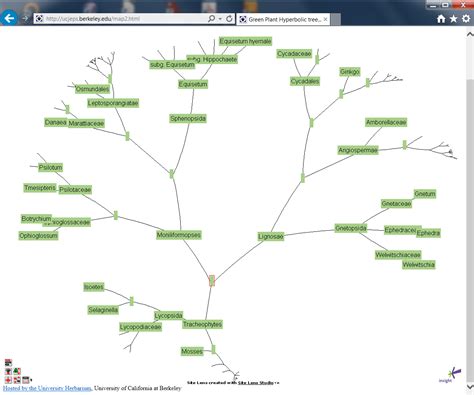 Hyperbolic Browsing