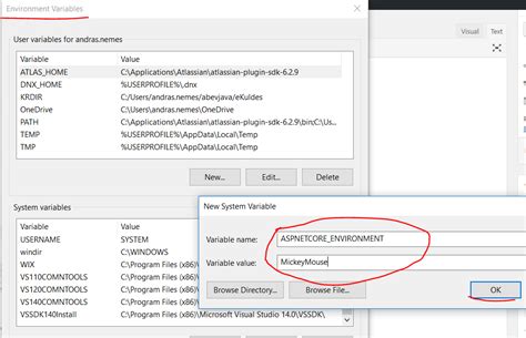 Environment Variable In Asp Net Core
