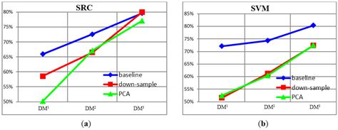 Sparse Representation Based Sar Image Target Classification On The 10