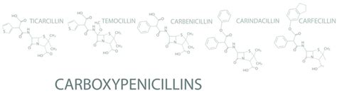 Ticarcillin Bilder Durchsuchen 26 Archivfotos Vektorgrafiken Und