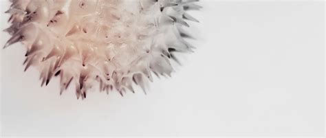 중국 전염병 코로나바이러스 2019ncov 우한 소설 코로나바이러스 바이러스 코비드 19ncp Ncov는 단일 가닥 Rna