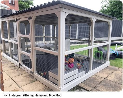 Building Bunny Houses How To Build A Rabbit Cage Easy Diy Steps Yxckkf