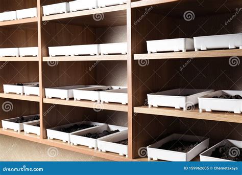 Containers With Soil Samples On Shelves Laboratory Research Stock Image Image Of Farming