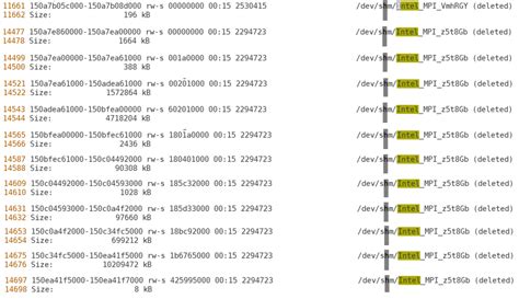 Evaluating Virtual Memory Consumption In Intel® Mpi Library