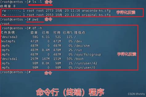 Linux之基础指令 Csdn博客