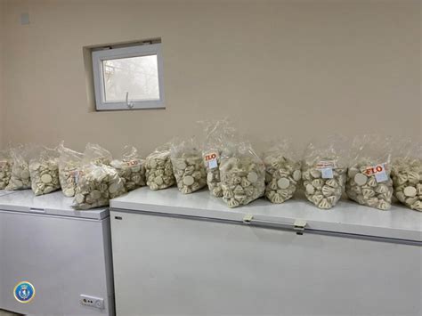 საგამოძიებო პირი ფალსიფიცირებულ ნახევარფაბრიკატებს ამზადებდა და მასში სოიოს ამატებდა