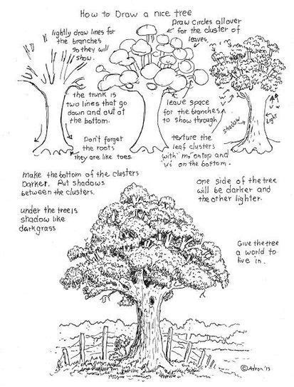Tree Drawing Reference Guide Drawing Referenc Tree Drawing Reference Guide Drawing Referenc