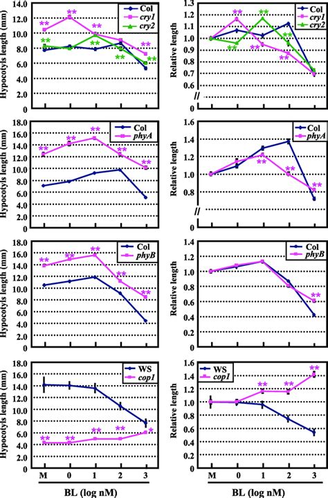 Photoreceptor Related Mutants Show Altered Responses To Exogenous Bl