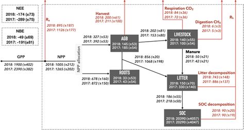 Spatial Mean ± Standard Deviation Of The Estimated C Pools And Fluxes