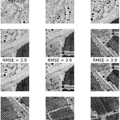 Space Variant Radial Distributions A Gain [g] B Offset D Download Scientific Diagram