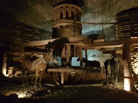Соляная шахта в Величке в Кракове Польша с фото и отзывами
