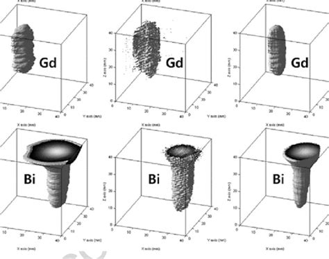 D Rendered Images Based On The XRF Measurement Download Scientific Diagram