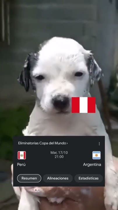 Jaja Nos Van A Matar 😂 Pipipipi Peruvsargentina Peru🇵🇪 Argentina🇦🇷 Leomessi10