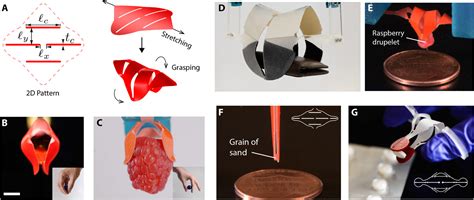 Grasping With Kirigami Shells Science Robotics