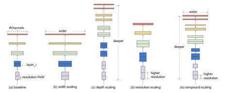pytorch實作系列 — efficientnet v1 and v2 by mz bai medium