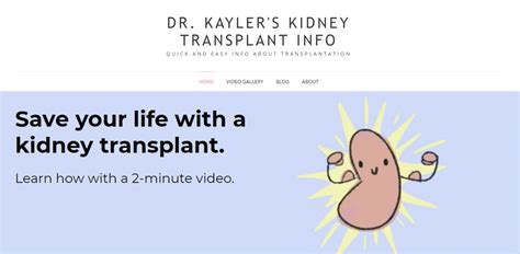 Web Development Bootcamp Internship Mehta Tutoring