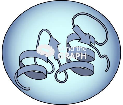 Free Protein Folding 3 Icons Symbols Pictures And Images Mind The