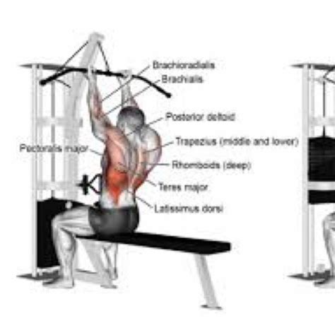 Powergrip To Lat Pulldown By Adele A Exercise How To Skimble