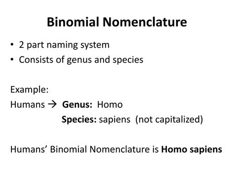Cladograms Ppt Download