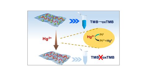 Dna Mediated Graphene Oxide Platinum Nanozymes For Label Free