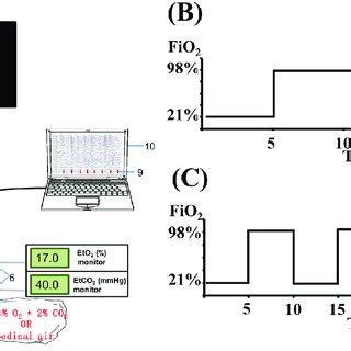 Study Procedure And Paradigm A EEG Experimental Setup Components Of Download Scientific
