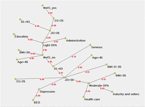 Womens Connectivity Map Performed By AutoCM Clarifying The Clusters Download Scientific