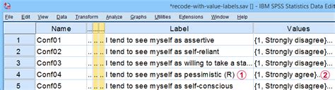 Spss Recode With Value Labels Tool