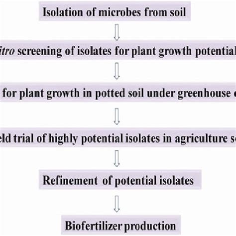 Microbial Inoculants In Sustainable Agricultural Productivity Vol 1
