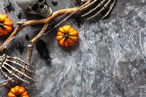 호박 해골 팔 두개골 웹이있는 나뭇 가지 거미 돌 테이블에 쥐가있는 어두운 무서운 할로윈 배경 플랫 레이 상단보기 오버 헤드 0명에 대한 스톡 사진 및 기타 이미지 Istock