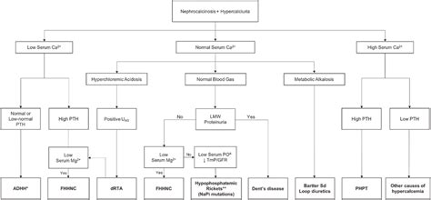 Algorithm For Differential Diagnosis Of Nephrocalcinosis Associated Download Scientific Diagram