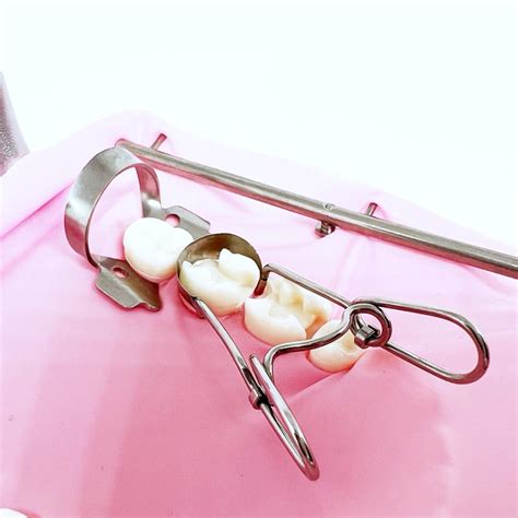 Saddle Matrix Kits — Tashmed